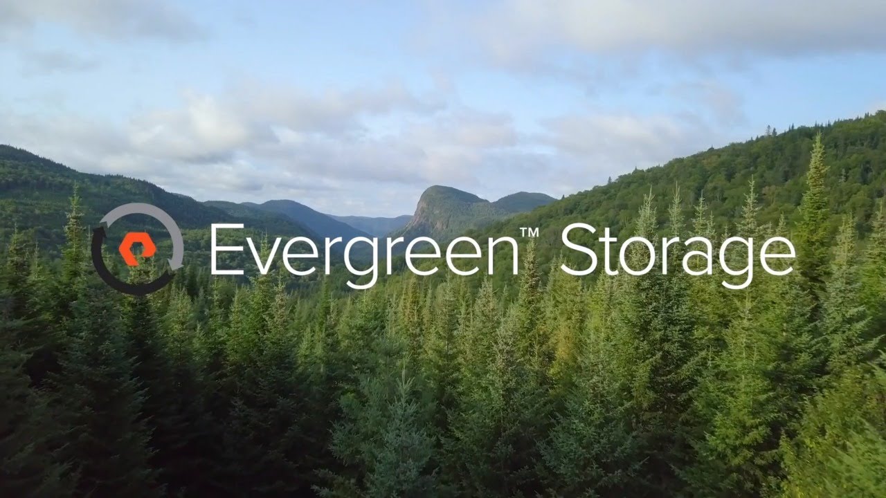 Este 2023 será el año de Evergreen: Pure Storage