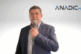 Impacto de la estrategia digital en México: Iniciativas y servicios